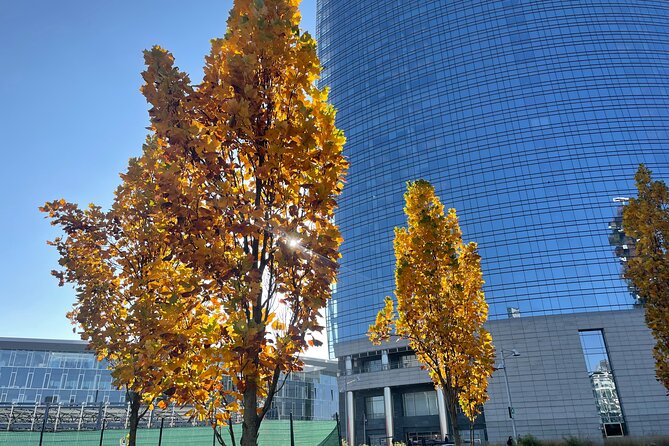 Discover the Milano by Food - Whats the Value?