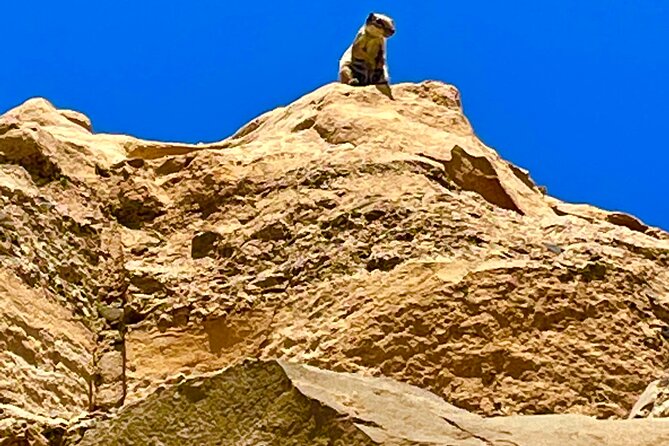 Fuerteventura: Discover Fuerteventura GRAND Islandtour - Frequently Asked Questions (FAQs)