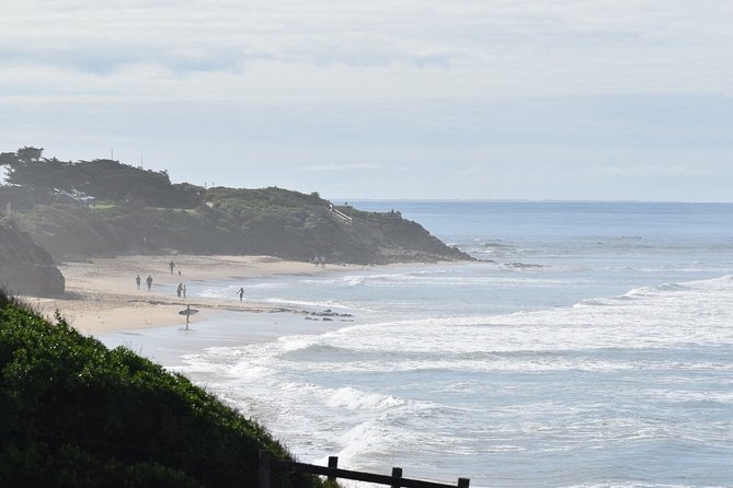 Great Ocean Road Tour Plus Koalas, Forest Walk and Morning Tea - Final Thoughts