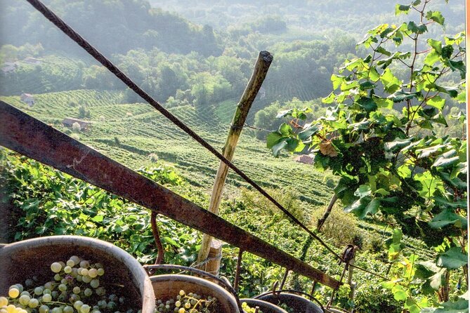 Prosecco - Wine tour & tasting - Full day in the Prosecco region - FAQs