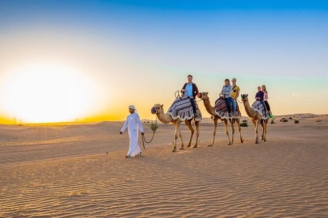 Red Dunes Desert Safari with 4x4 Pick up & Drop, Camel ride, BBQ and Live shows - Who Should Book This Tour?