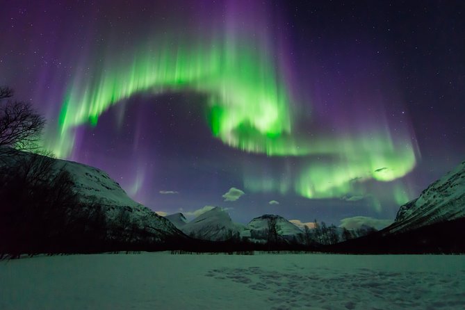 Tromsø: Aurora Hunt with Citizen Science with Wandering Owl - Final Thoughts: Making the Most of Your Northern Lights Adventure