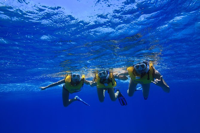 Turtle Canyons Snorkel Excursion from Waikiki, Hawaii - Final Thoughts