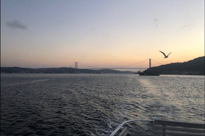 3 Hours Bosphorus Boat Cruise with Stop in Asia Side - Who Is This Tour Best For?