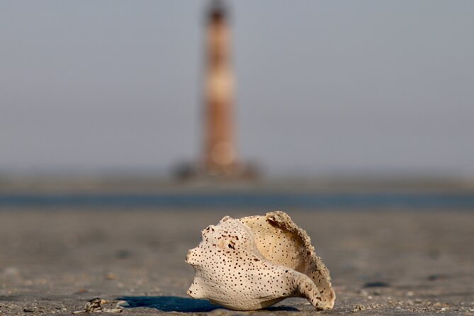 Charleston Eco Boat Cruise with stop at Morris Island Lighthouse - The Sum Up: Is This the Right Tour for You?