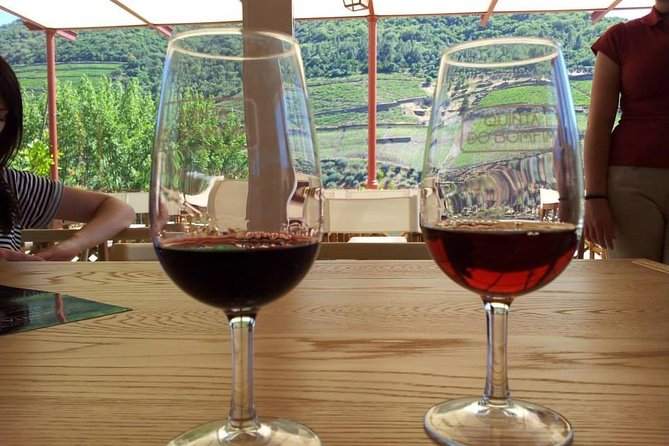 Complete Douro Valley Wine Tour with Lunch, Wine Tastings and River Cruise - The Sum Up