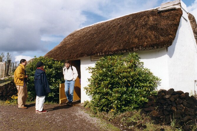 Full-Day Ring of Kerry Tour from Killarney - The Sum Up: Who Is This Tour For?