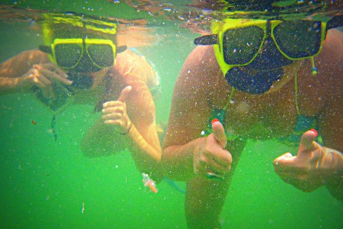 Shell Island Snorkel and Dolphin Catamaran Cruise with Island Time - FAQs