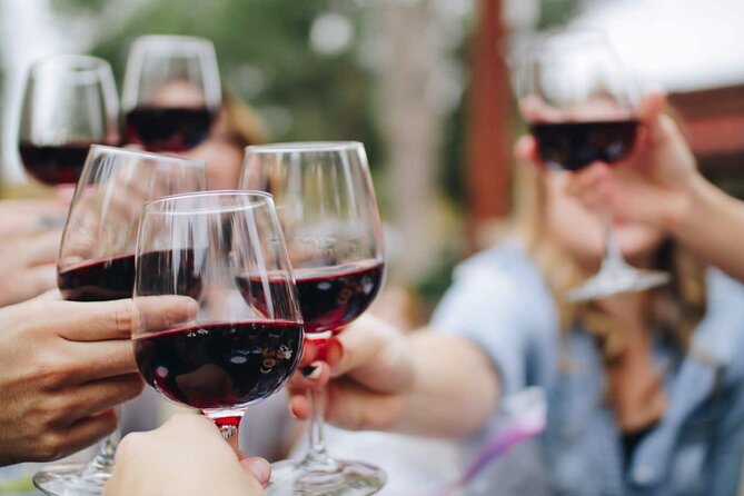 Small group Wine Tasting Tour from Lagos - Final Thoughts