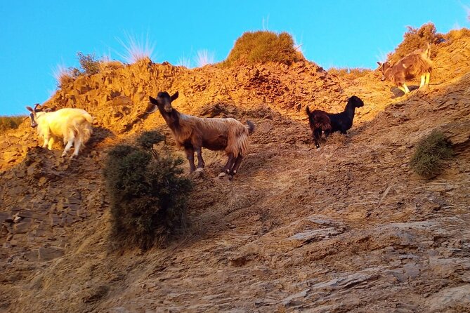 Sunset Jeep Tour in Crete - FAQ