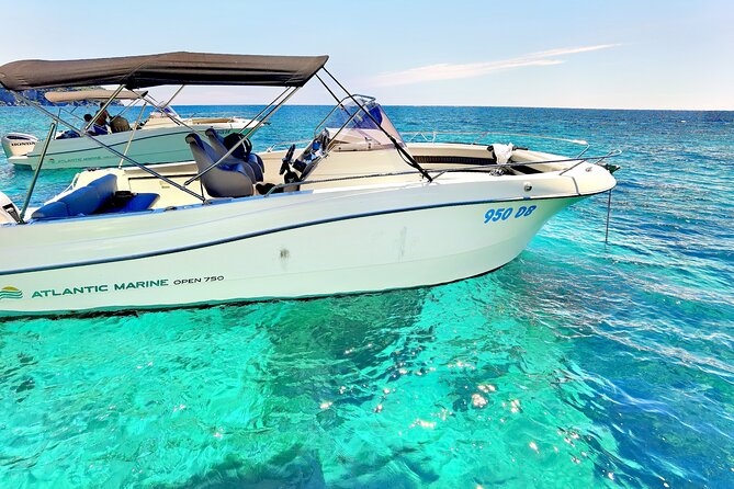 Blue Cave Small-Group Boat Tour from Dubrovnik - Authentic Experiences and What to Expect