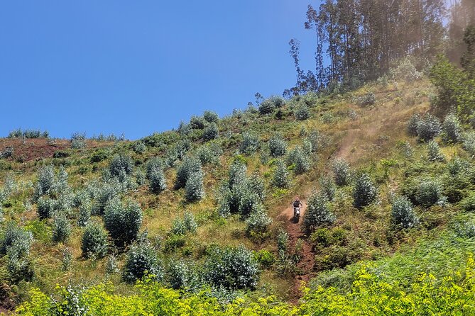 Dirt-Bike Tour in Madeira - Authenticity and Real Experiences