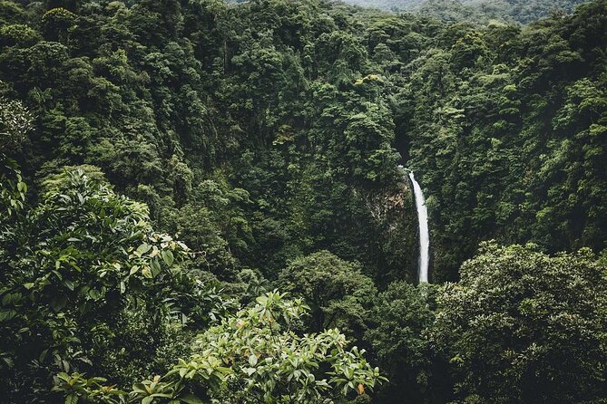 Arenal Volcano, La Fortuna Waterfall, Hot Springs Combo Tour with Lunch & Dinner - Key Points