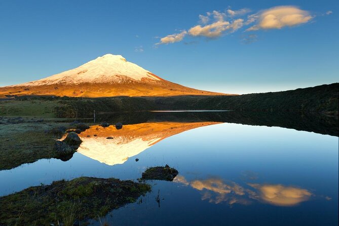 Cotopaxi Full-Day from Quito Including Entrances - Introduction