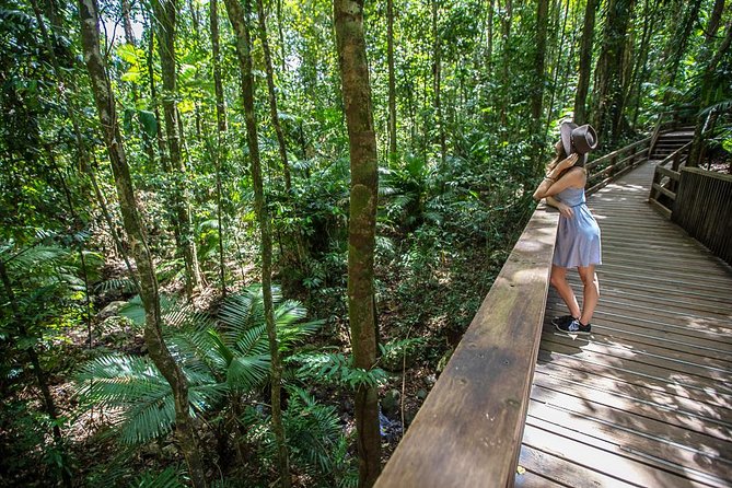 Daintree Rainforest and Cape Tribulation Full Day Tour - Introduction: A Detailed Look at the Daintree Rainforest and Cape Tribulation Tour