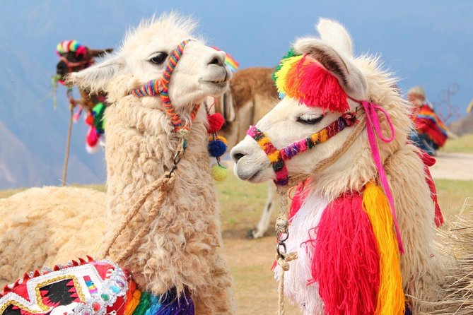 Excursión to Rainbow Mountain with Coca Ceremony | Prívate Tour | - Key Points