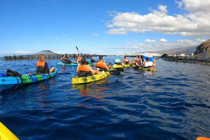 Guided Kayak Tour From Los Cristianos Beach Tenerife - Exploring Tenerife’s Coastline by Kayak: A Review of the Guided Tour from Los Cristianos Beach