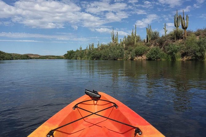 Kayaking the Salt River Foxtail Trip - Kayaking the Salt River Foxtail Trip: An In-Depth Look