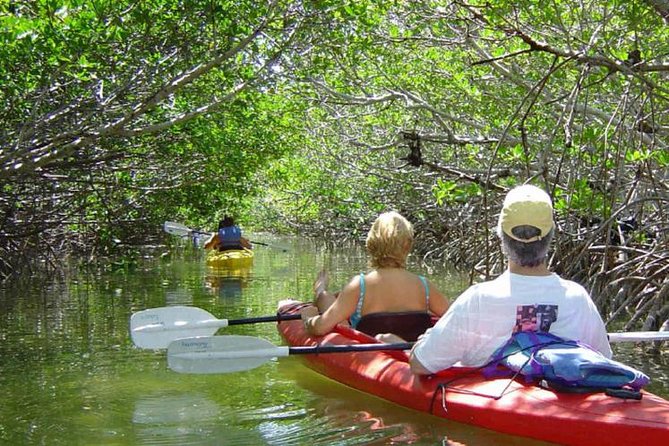 Key West Mangrove Kayak Eco Tour - Discover the Charm of the Key West Mangrove Kayak Eco Tour