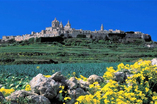 Mdina, Rabat, Dingli cliffs, San Anton gardens, Ta' Qali & Mosta guided tour - A Closer Look at the Tour Experience