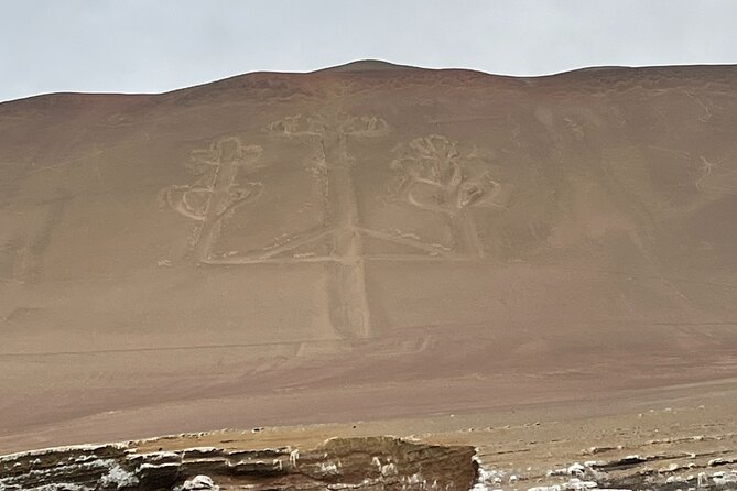 Paracas and Huacachina Sunset Picnic Tour - What to Expect: The Complete Experience