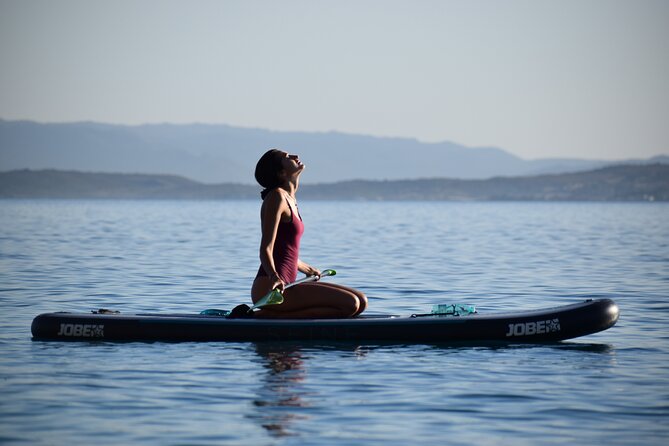 Stand Up Paddle With Dolphins, aperitif and pictures