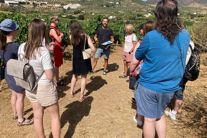 TOP WINE TOUR- Vineyard & cellar visit + 6 top wines + tapas - Introduction