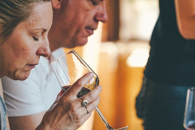 Valpolicella and Amarone Wine-tasting Tour from Verona - An In-depth Look at the Valpolicella and Amarone Wine-tasting Tour