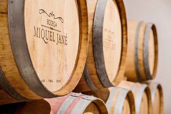 Viticulture and Wine-Tasting 3-Hour Trip from Barcelona