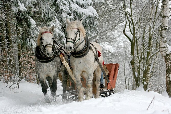 Zakopane & Sleigh Ride with Bonfire - Private Day Trip from Krakow - Key Points