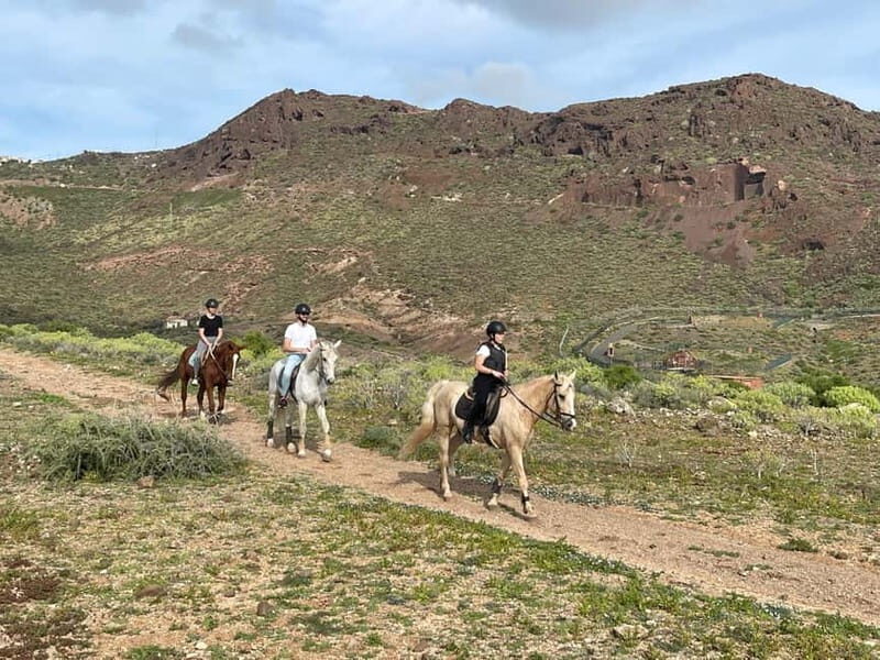 1 hour relaxing horse riding tour in Gran Canaria