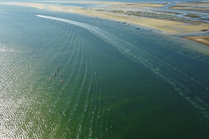 2 Hours Kayak Island Tour in the Natural Park of Ria Formosa - The Itinerary: What’s in Store