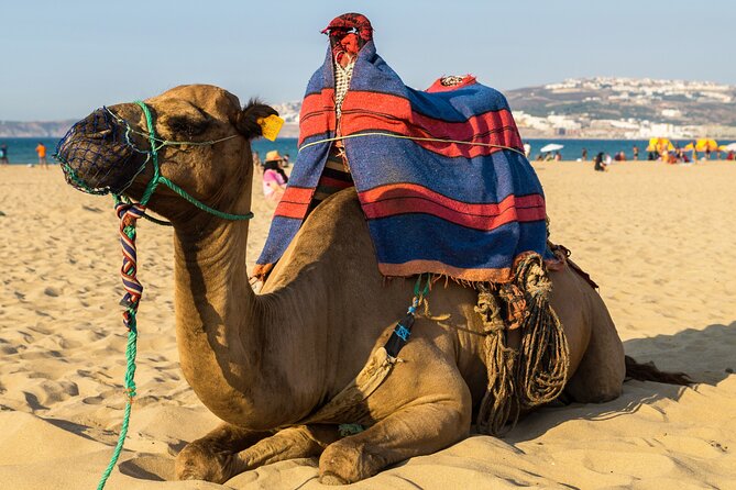 3 Countries in 2 Days: Spain, Gibraltar & Morocco with Hotel - An In-Depth Look at the Itinerary