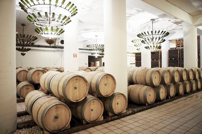 A world of wine-tasting in Nemea - What to Expect from the Tour