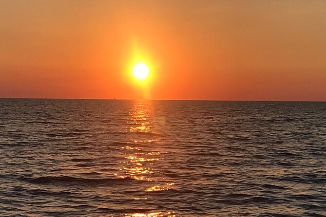 All-Inclusive Sunset Cruise & Dolphin Watching  Medulin - An In-Depth Look at What You Can Expect
