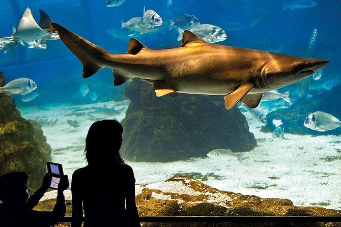Barcelona Aquarium Skip the Line Ticket - Location and Accessibility