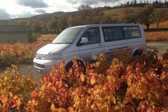 Beaujolais Crus Wines & Castles (2:00 pm - 6:30 pm) - Small Group Tour from Lyon - Key Points