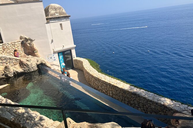 Best of Monaco Private Tour and Outlet Shopping Experience - Key Points