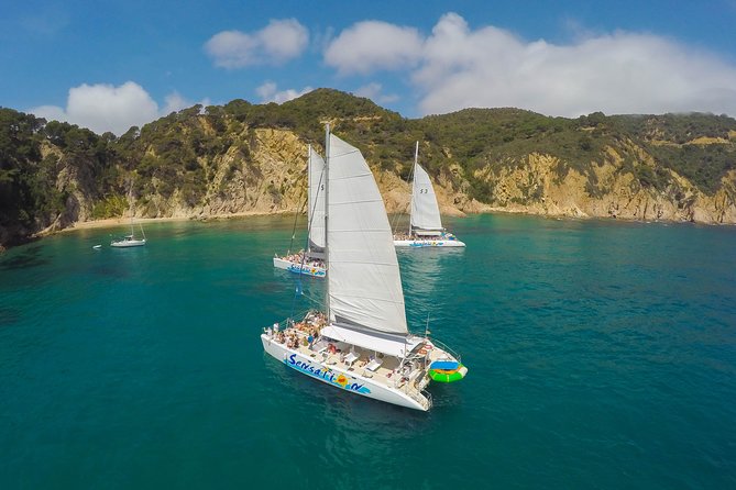 Catamaran ride -Costa Brava with barbecue and drinks. Familiar. - The Anchor and the Secluded Bay Experience