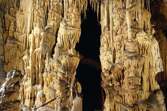 Caves Drach Tour & Return Transfer from Cala Dor-Calas Mallorca