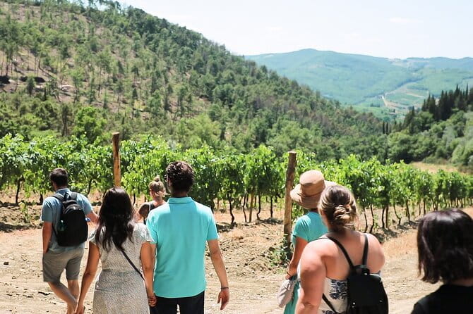 Chianti Wine Tour: Two Wine Tastings, Vineyards and Cellar Visit