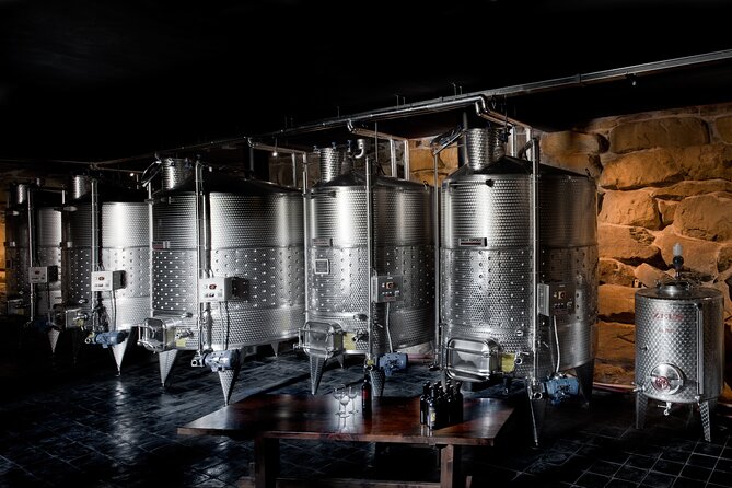 Discover Sustainable Wines in a Guided Tour and Tasting - A Closer Look at the Vineyard Experience