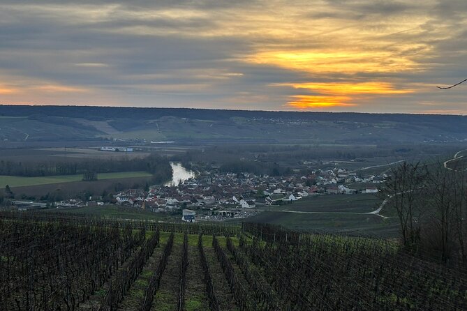 Discovery Tour Reims and Epernay - The Value of a Guided Champagne Day