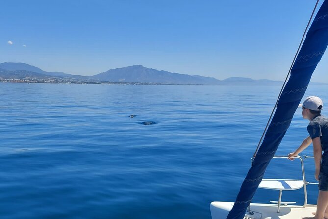 Dolphin trips on a catamaran - The Route and What to Expect