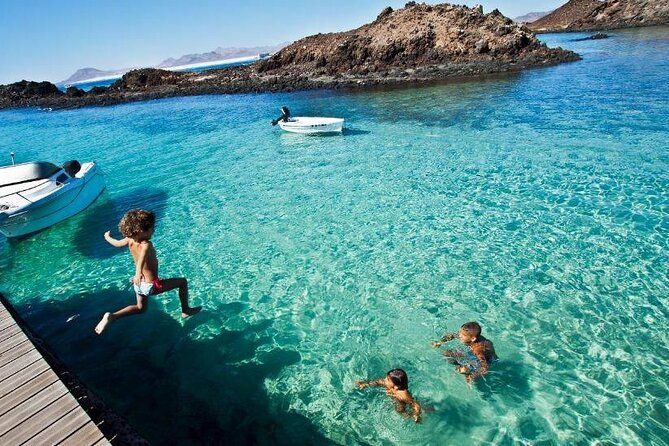 Dolphin Watching Cruise to Lobos Island
