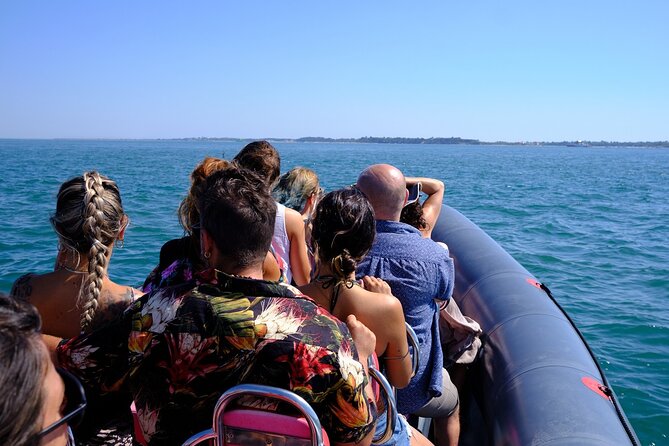 Dolphin watching in Setúbal - The Boat and the Experience