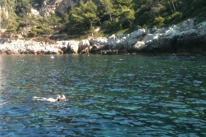 French Riviera Villefranche Bay Snorkeling Tour from Nice - What You Can Expect During the Tour