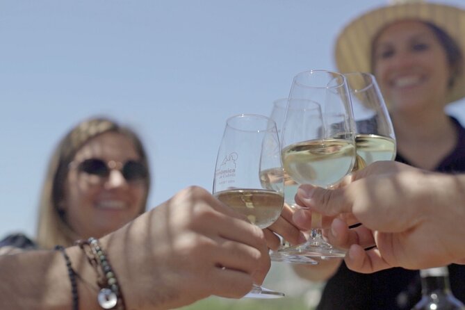 From Malaga: Ronda, Wine & Olive Oil Tasting Premium Small Group