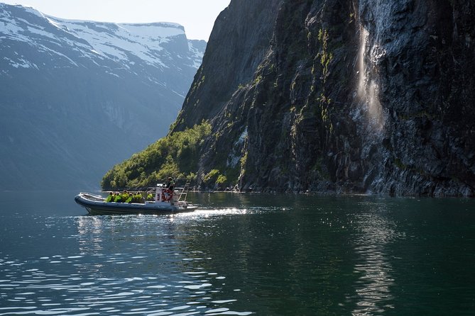 Geiranger: RIB Fjordsafari Geirangefjord - What Makes the RIB Fjordsafari Special?