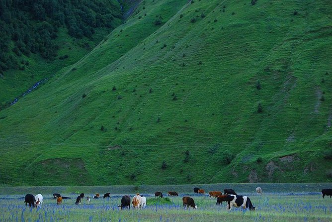 Kazbegi Adventure - Private Day Trip From Tbilisi with a Dinner + Masterclass